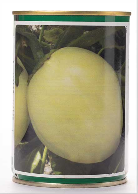 Garden Egg Djamba F1 Seeds | Vegetable Seeds | Agromonti